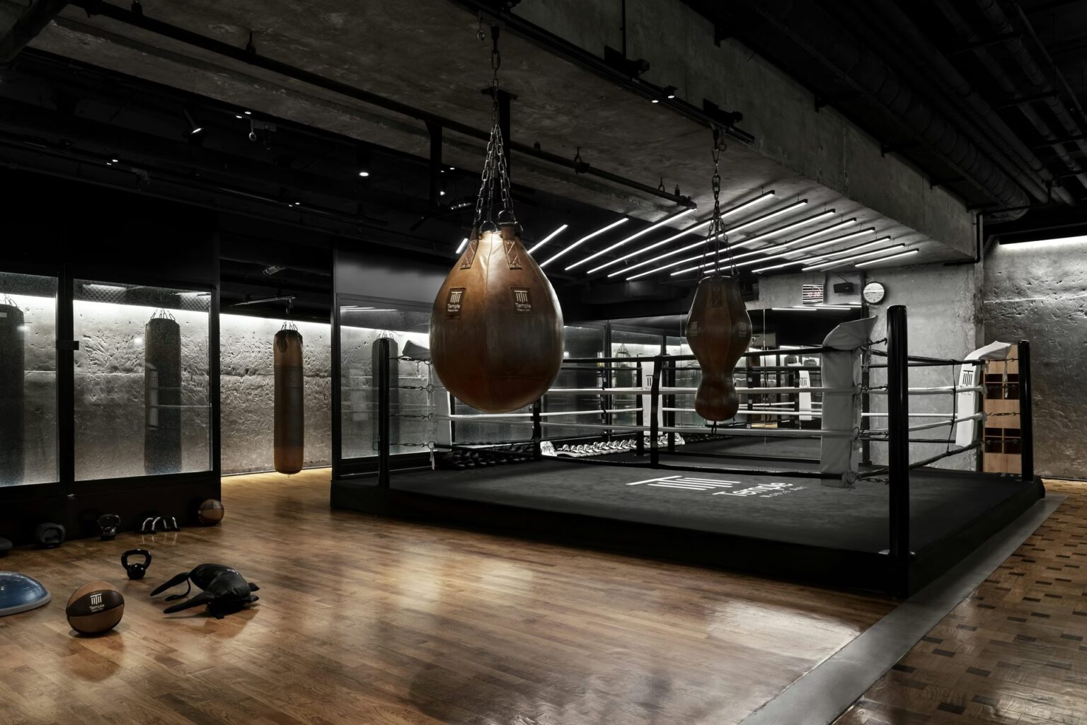 ¿Cuánto Cuesta Entrenar Boxeo? | Salud & Movimiento