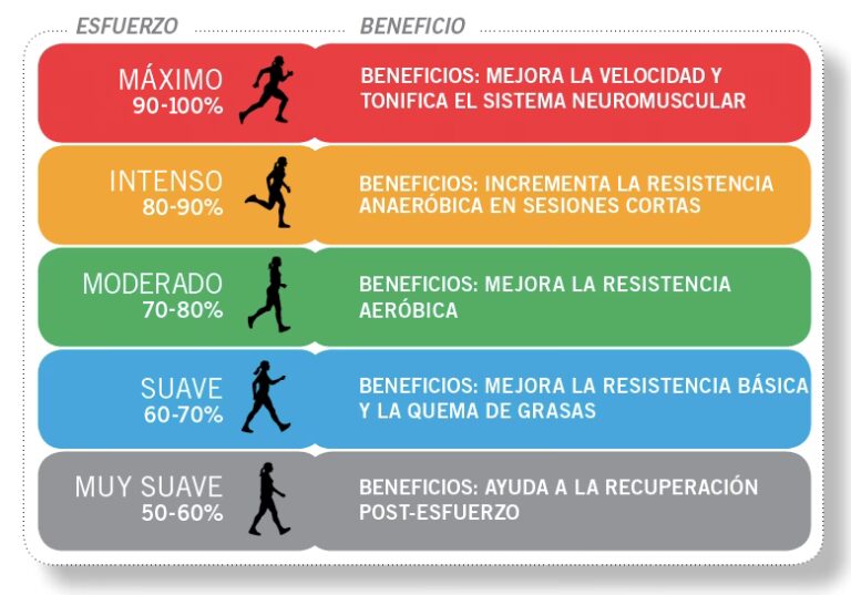 Calorías en 1 Hora de Gimnasio: ¿Cuánto Quemas? | Salud & Movimiento