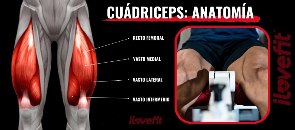 Activa y Fortalece tu Vasto Medial | Salud & Movimiento