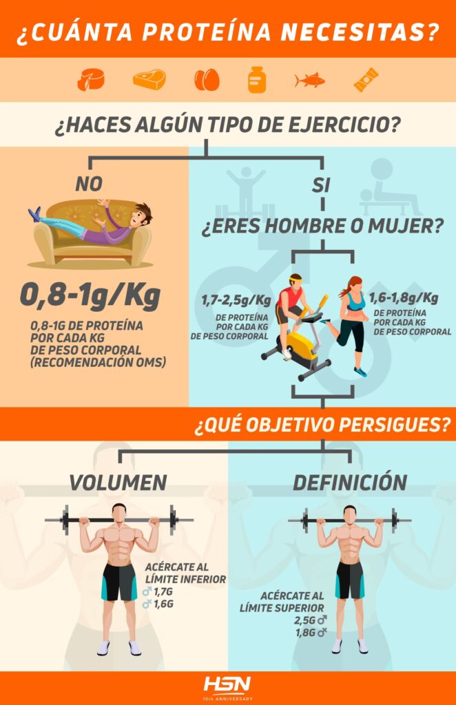 ¿Cuánta Proteína Necesitas? Gramos y Scoops | Salud & Movimiento