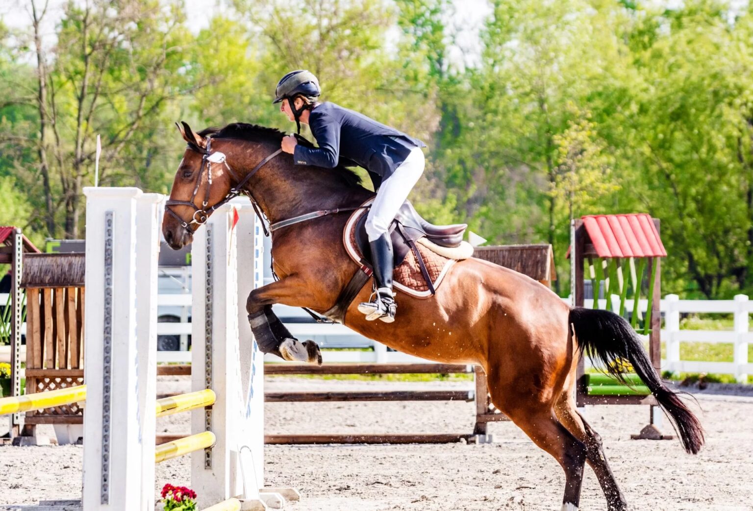 Equitación: El Deporte de Montar a Caballo | Salud & Movimiento