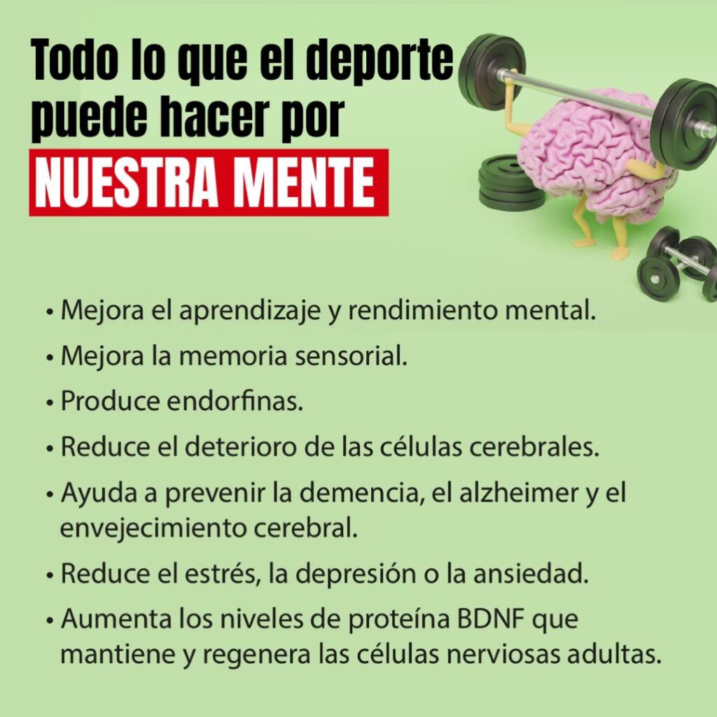 ¿Qué Hace el Deporte en Tu Cerebro? | Salud & Movimiento